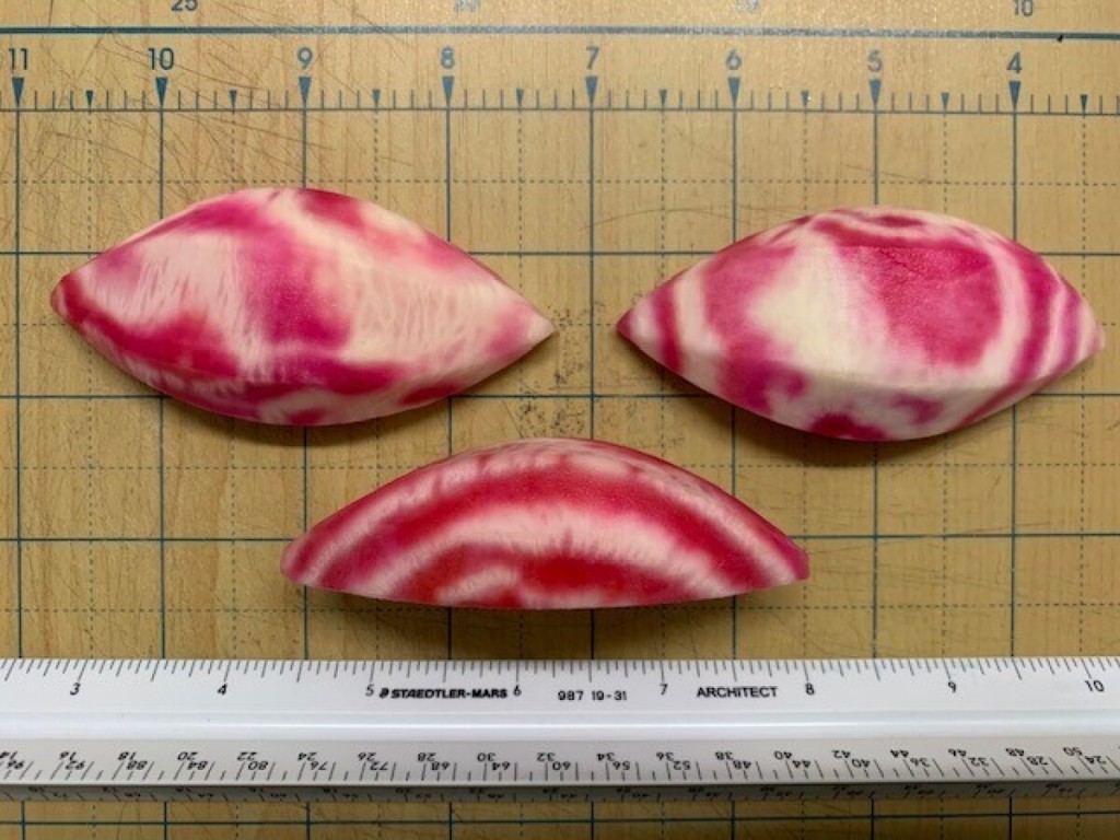 BEET, CANDY STRIPE CARVED TURNED 5 SIDED 1 OZ VACUUM PACK FRESH REF – 80 EA – Food Innovations