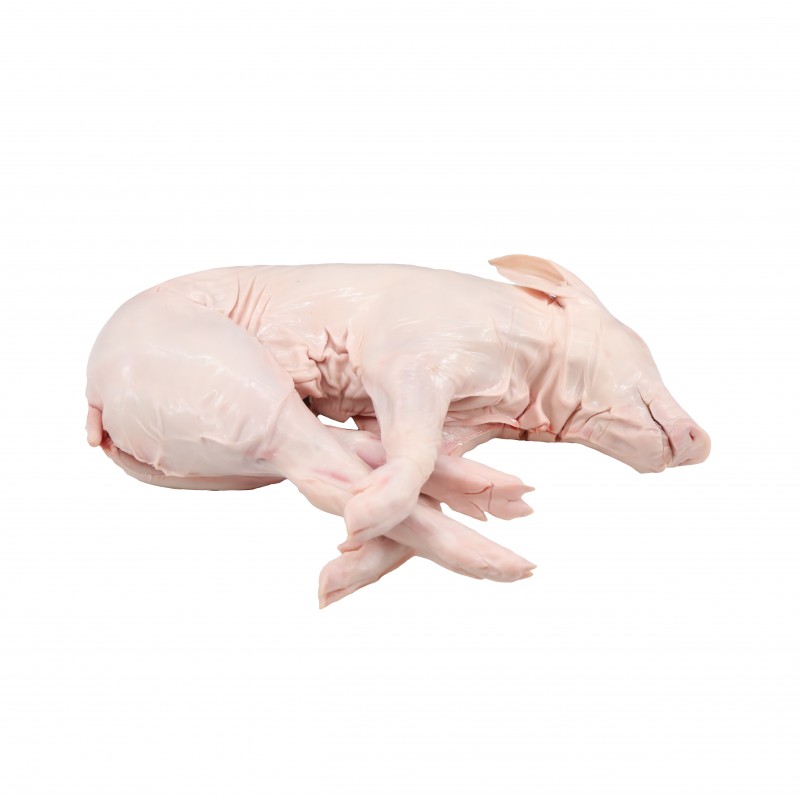 PORK, PIG SUCKLING WHOLE RAW FROZEN COCHINILLO – 9 LB – Food Innovations