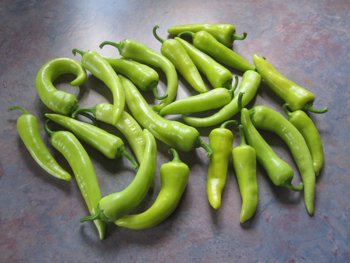 The One Ingredient Diet – Food Innovations