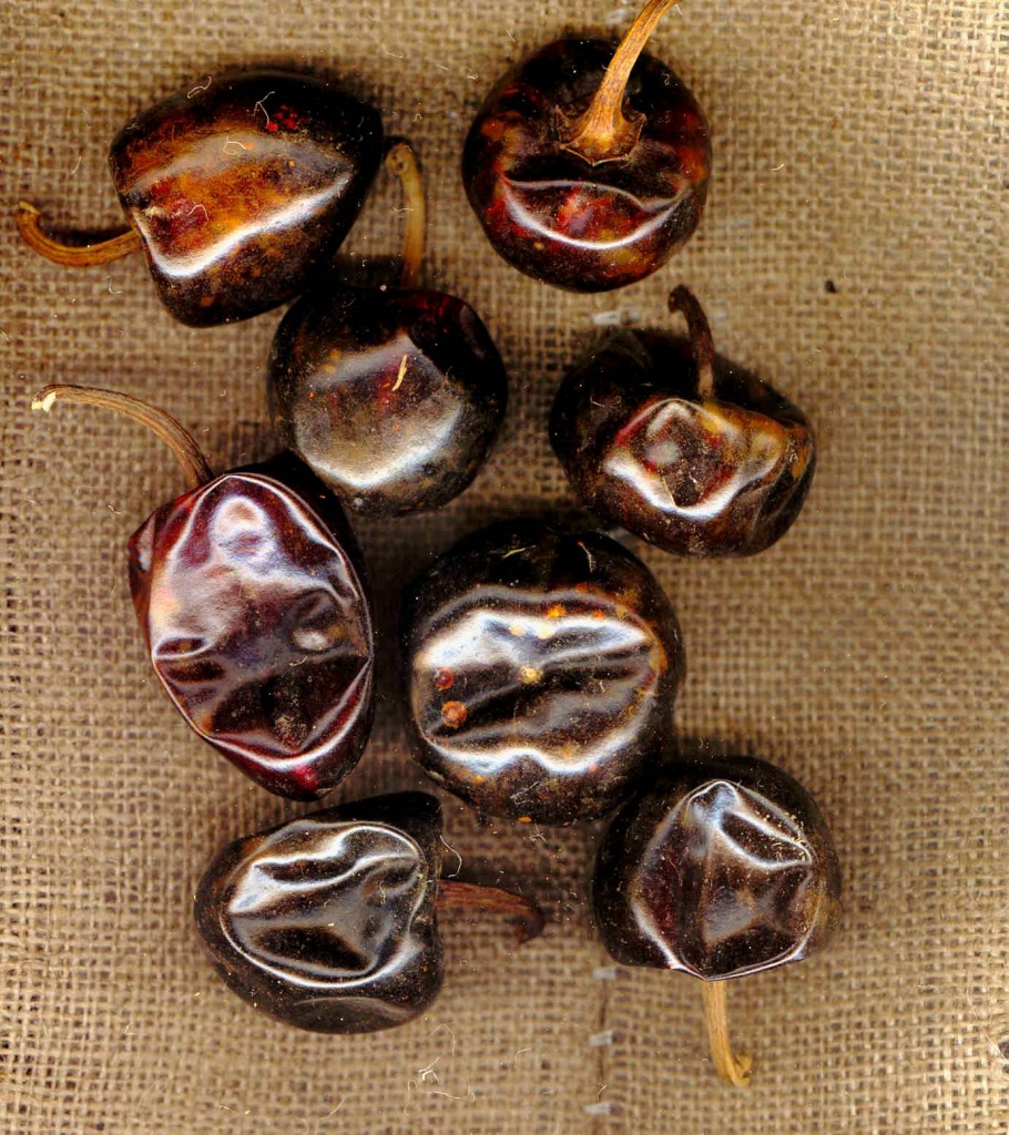 PEPPER, CHILI CASCABEL WHOLE DRIED – 10 LB – Food Innovations